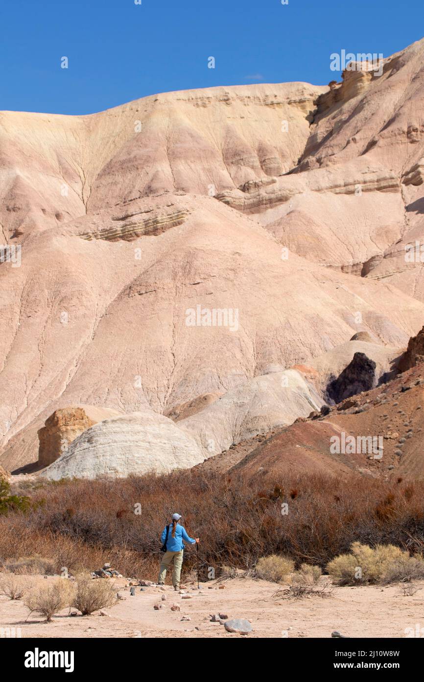 Amargosa River Trail, Amargosa River Natural Area, Barstow Field Office ...