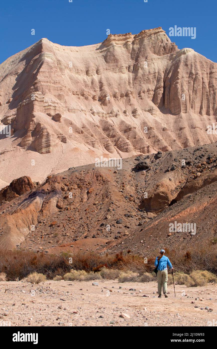 Amargosa River Trail, Amargosa River Natural Area, Barstow Field Office ...