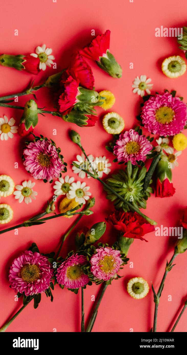 Vertical overhead shot beautiful hi-res stock photography and images ...