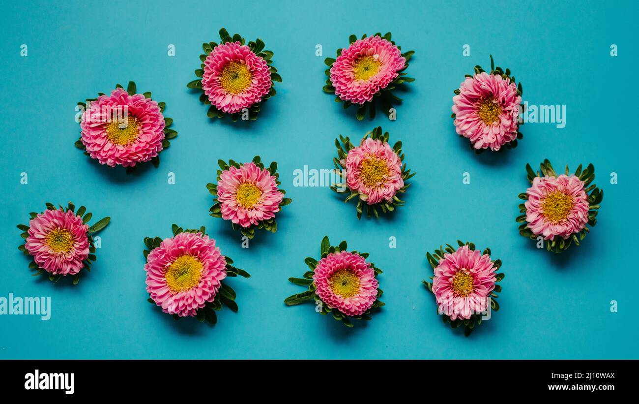 Overhead pink and yellow daisies hi-res stock photography and images ...