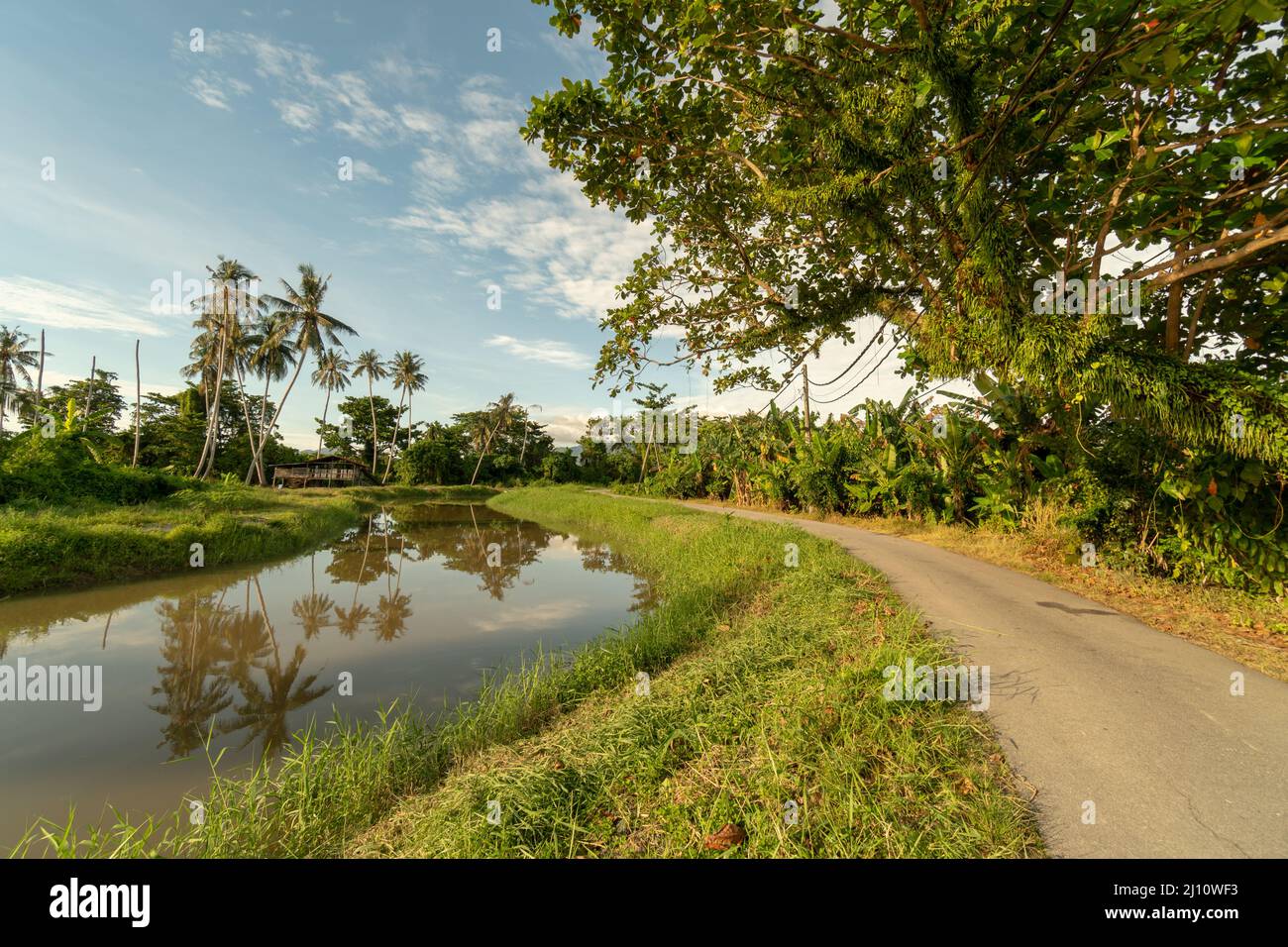 Beautiful evening scene at Malaysia countryside Stock Photo - Alamy