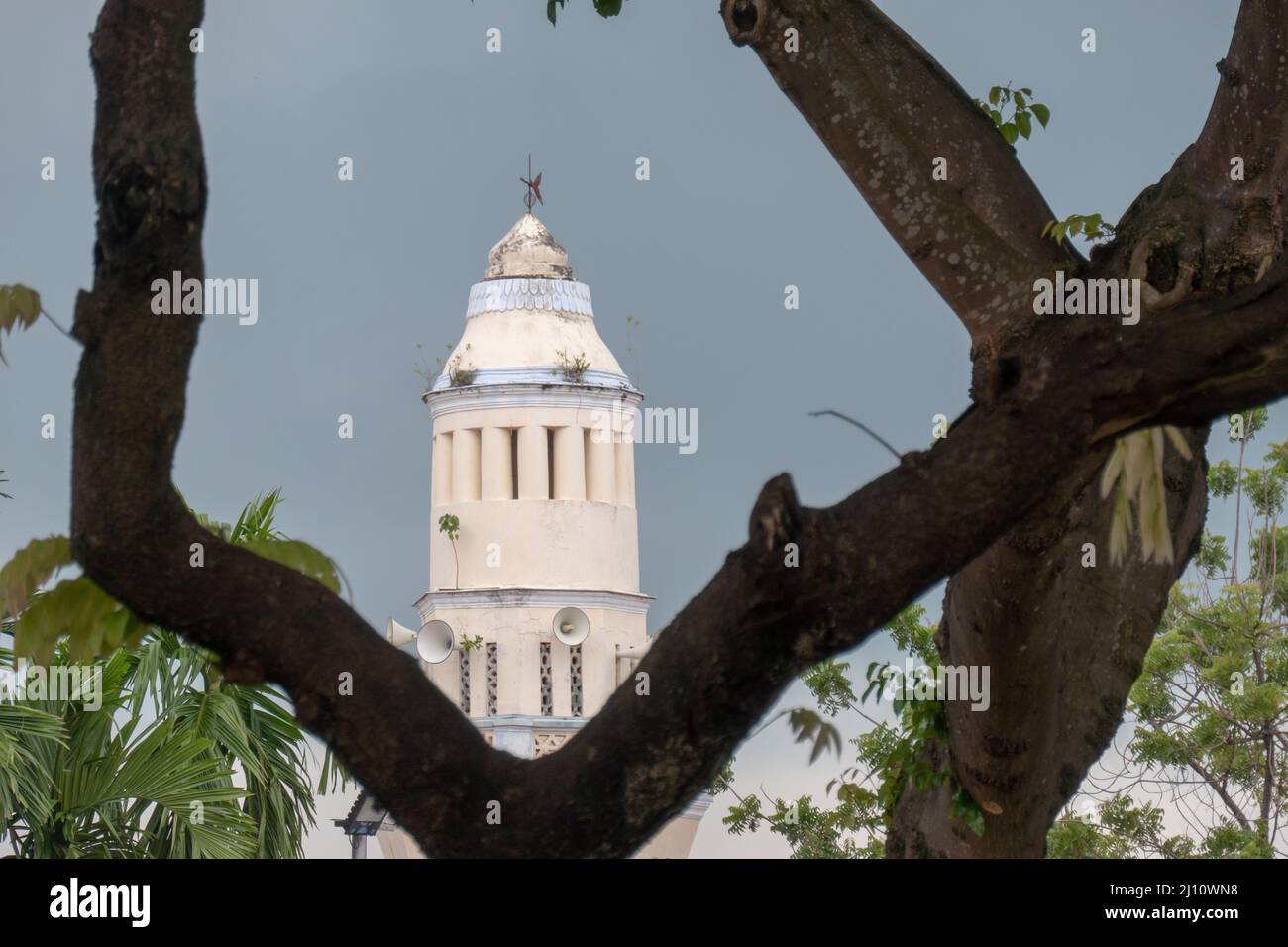 Masjid Acheh with foreground of tree trunk Stock Photo - Alamy