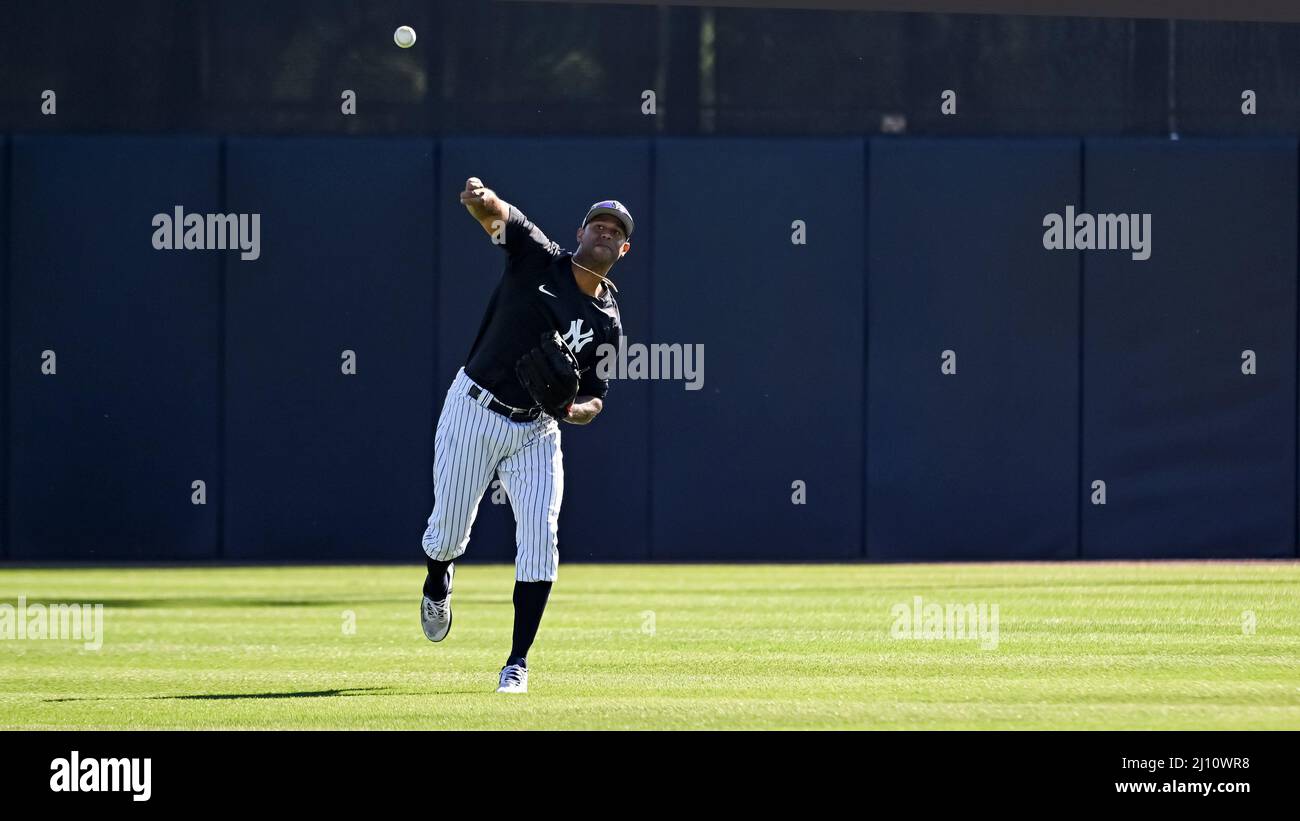 Tampa, United States. 21st Mar, 2022. 6New York Yankees outfielder ...