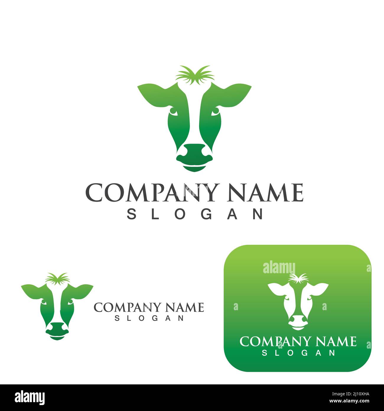 Cow head logo vector template Stock Vector Image & Art - Alamy