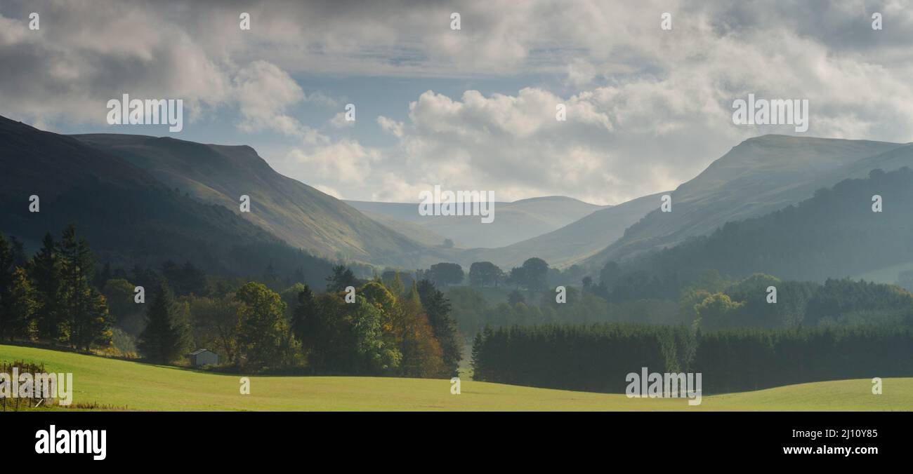Beautiful panoramic view of a field in the background of trees and ...