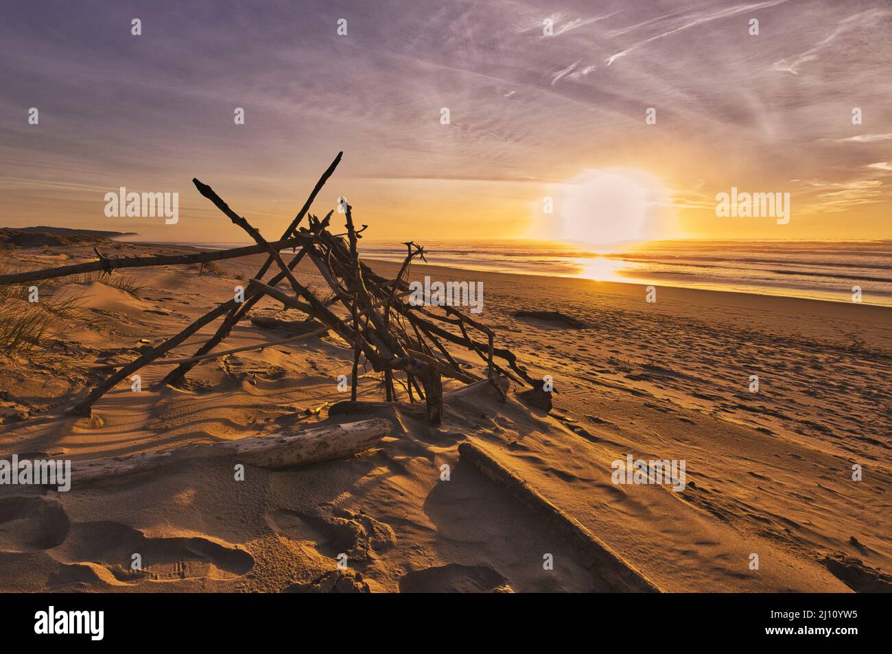 View of a pile of branches on a sandy beach on the sunset Stock Photo ...