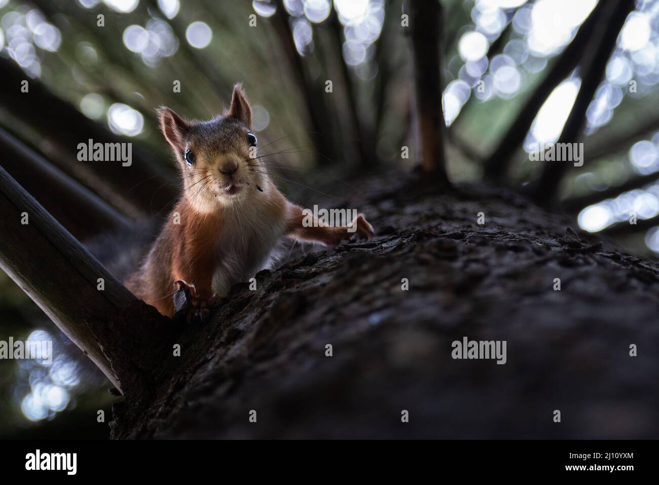 Lake gosh hi-res stock photography and images - Alamy
