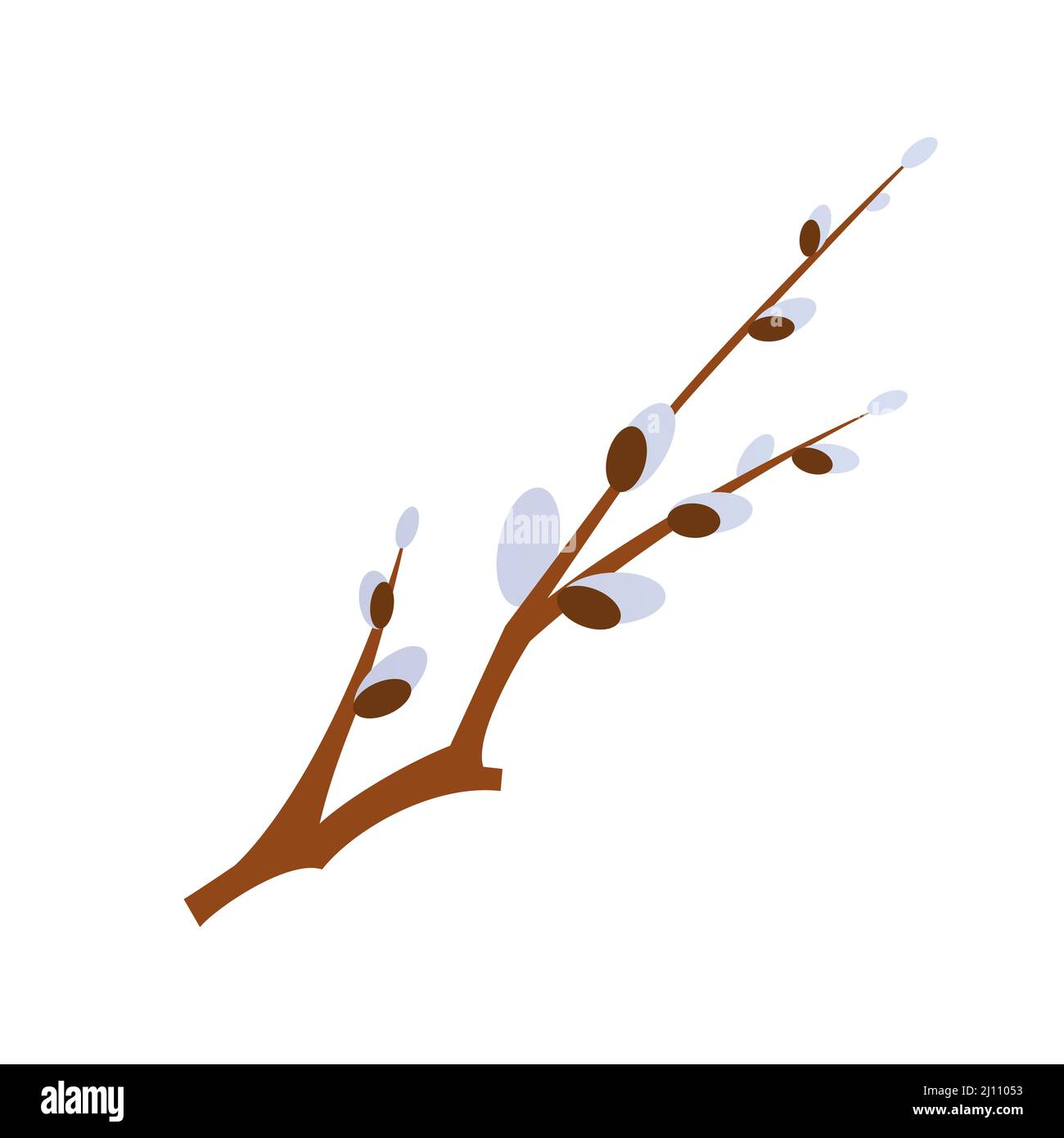 Beautiful branch willow Stock Vector Images - Alamy