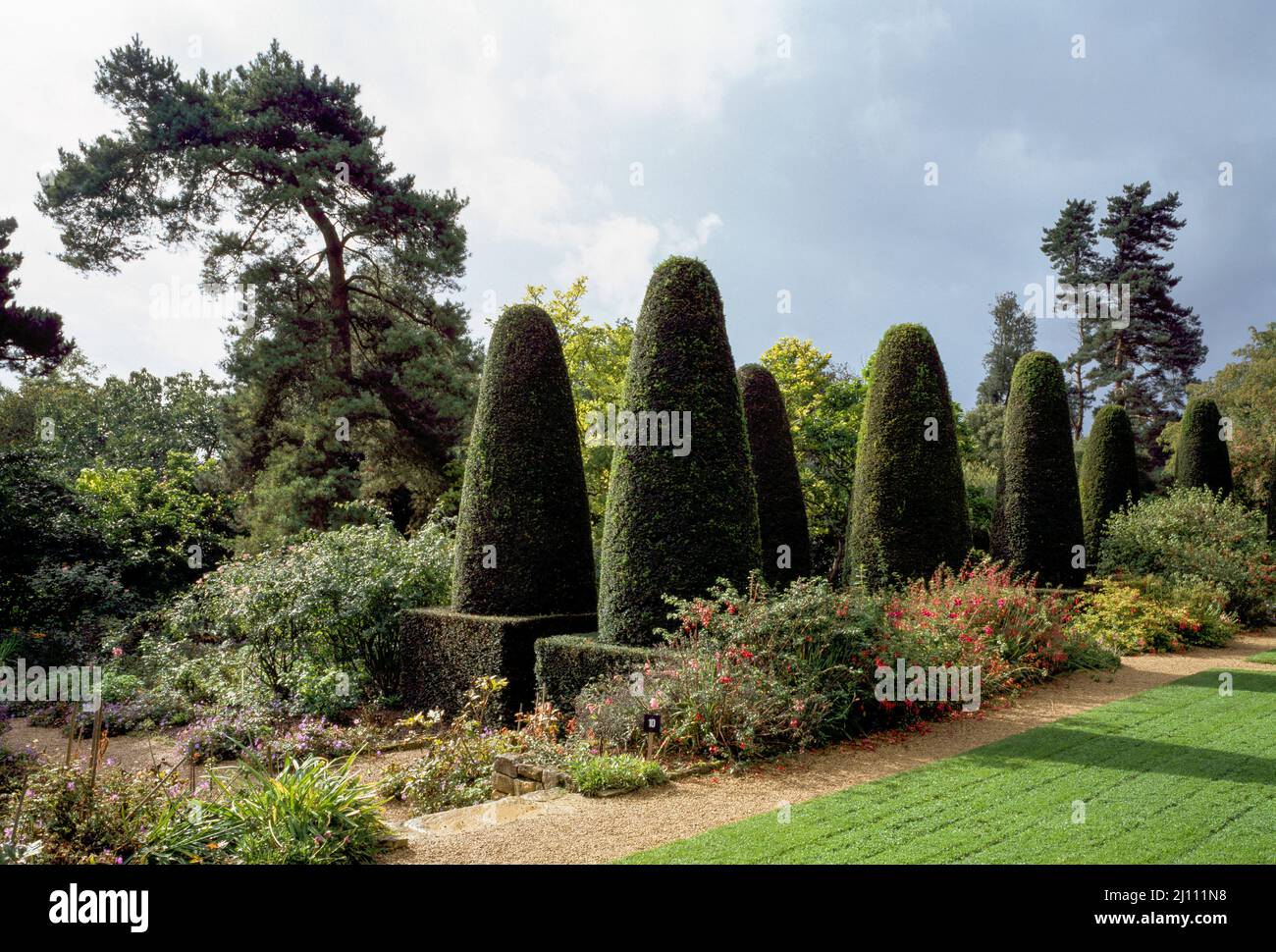 Hidcote manor garden hedge hi-res stock photography and images - Alamy