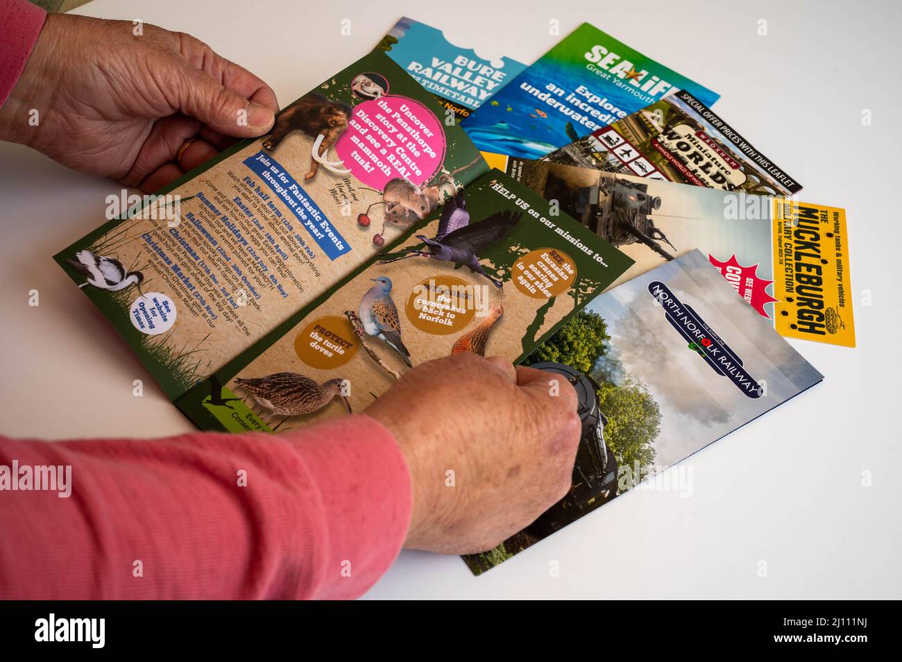 Ladies hand holding various leaflets for days out in Norfolk Stock ...