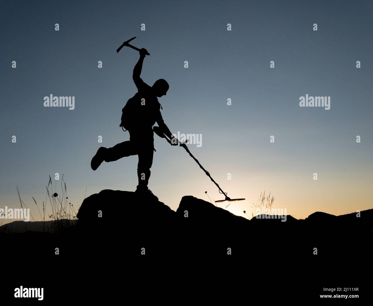 Treasure hunter with Metal detector in the field, special equipment ...