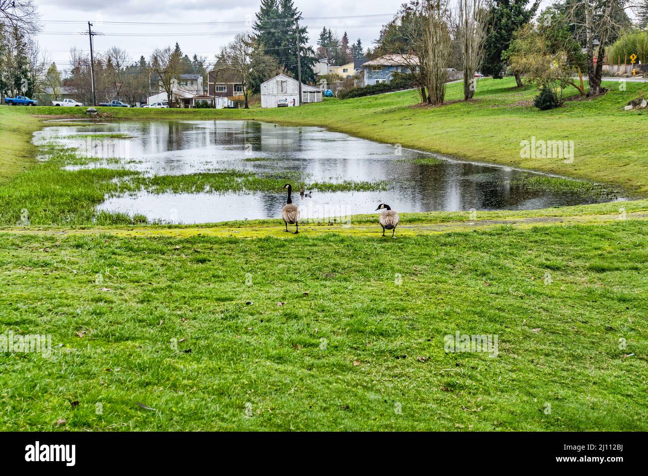 Runoff pond hi-res stock photography and images - Alamy