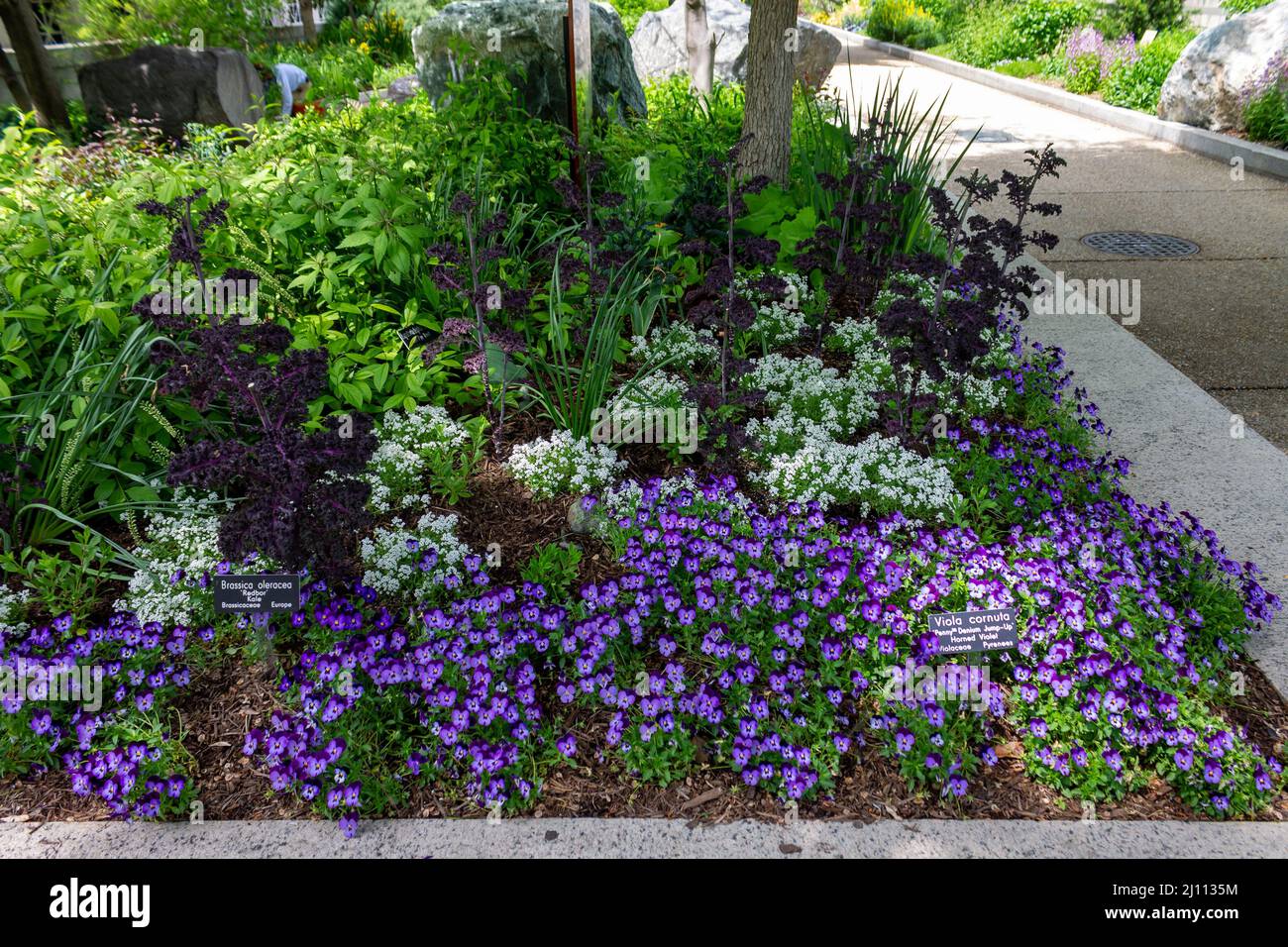 Greenery in dc hi-res stock photography and images - Alamy