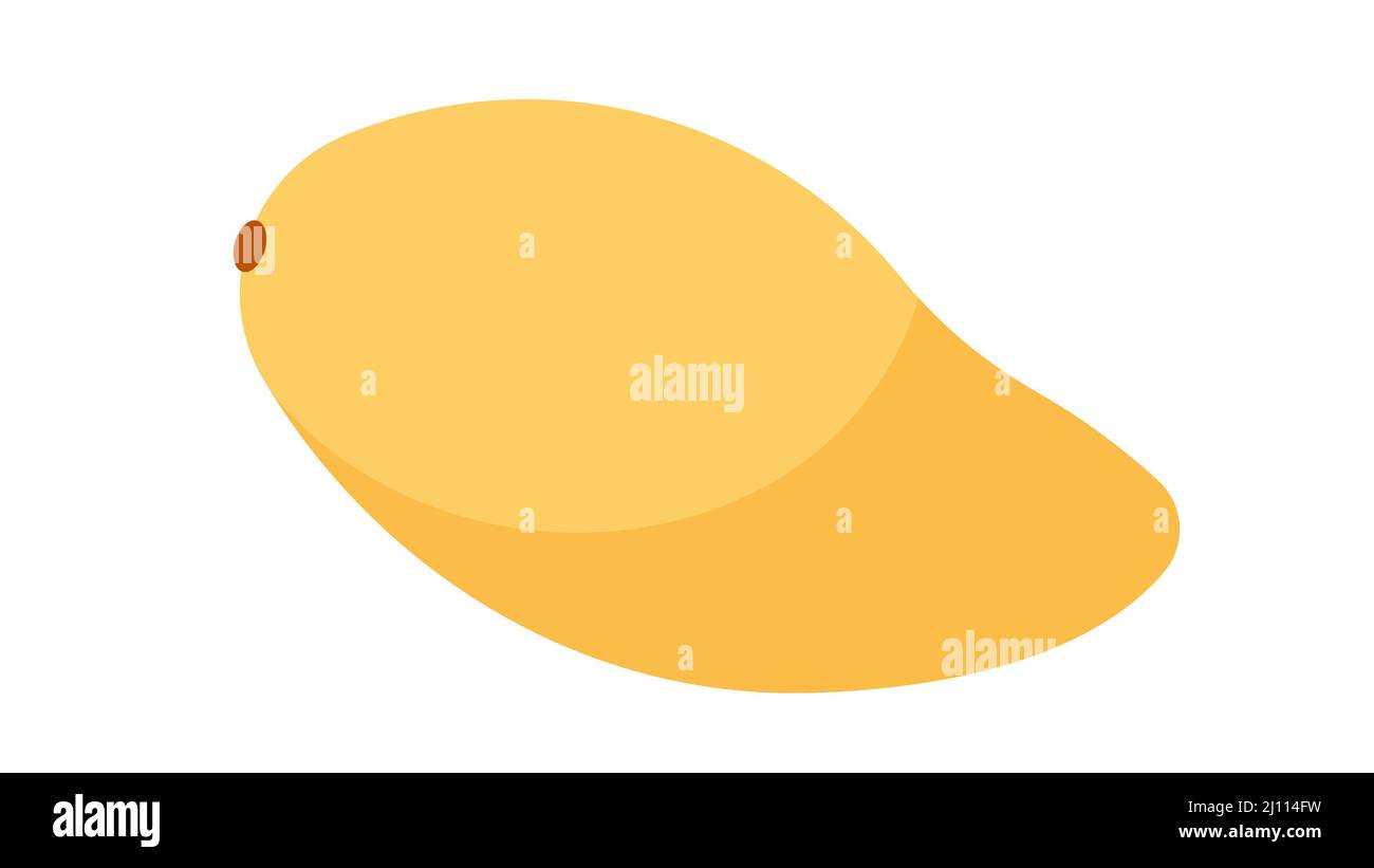 Yellow mango on white background. Vector illustration of a ripe ...