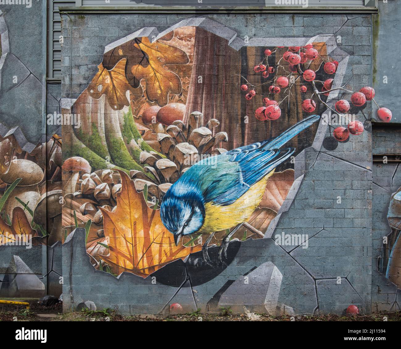 Hyper realistic murals hi-res stock photography and images - Alamy