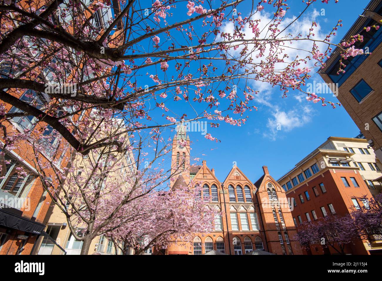 Spring in Oozells Square, Birmingham England UK Stock Photo - Alamy
