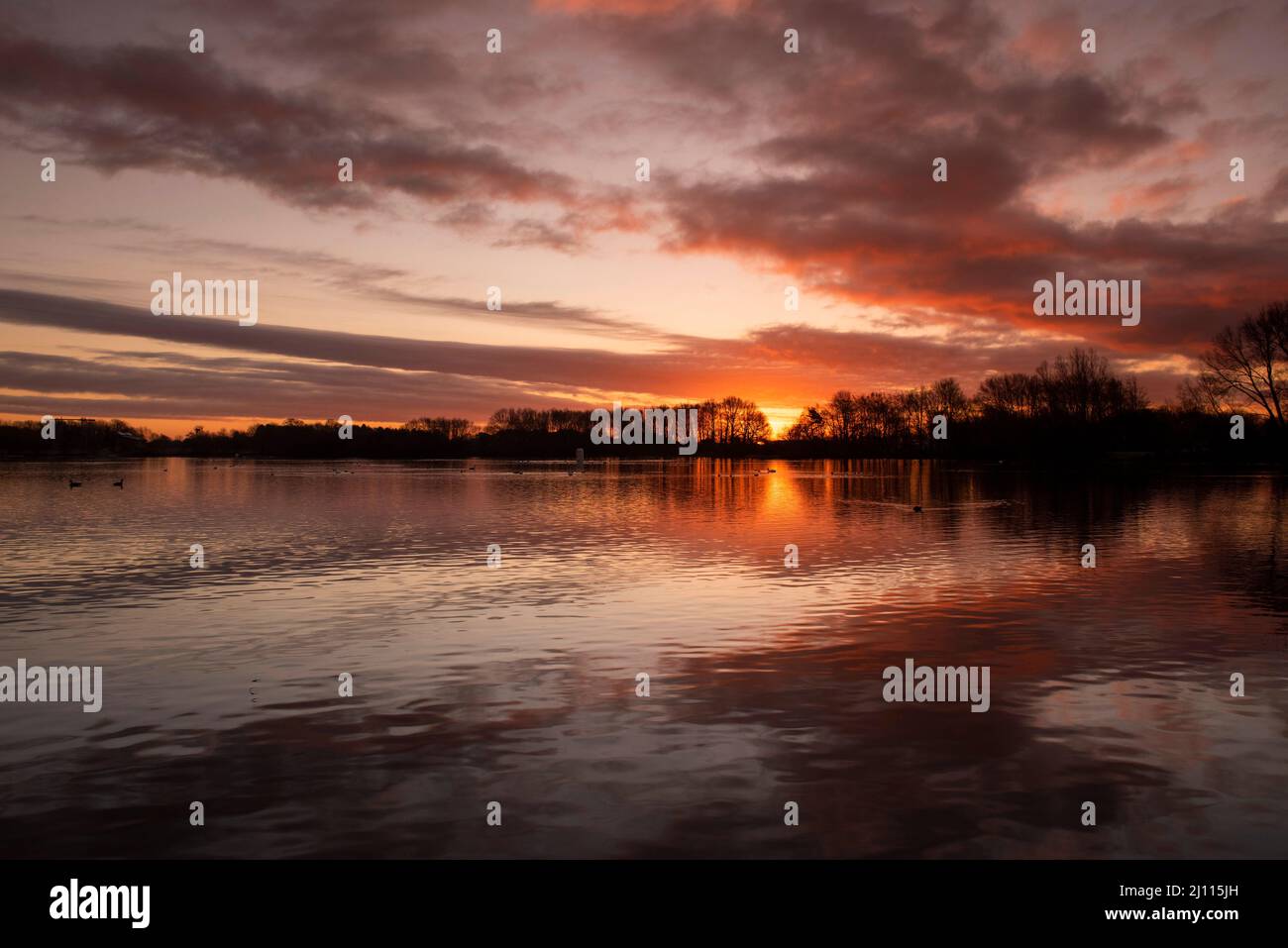 Sunrise at Colwick Park in Nottingham, Nottinghamshire England UK Stock ...