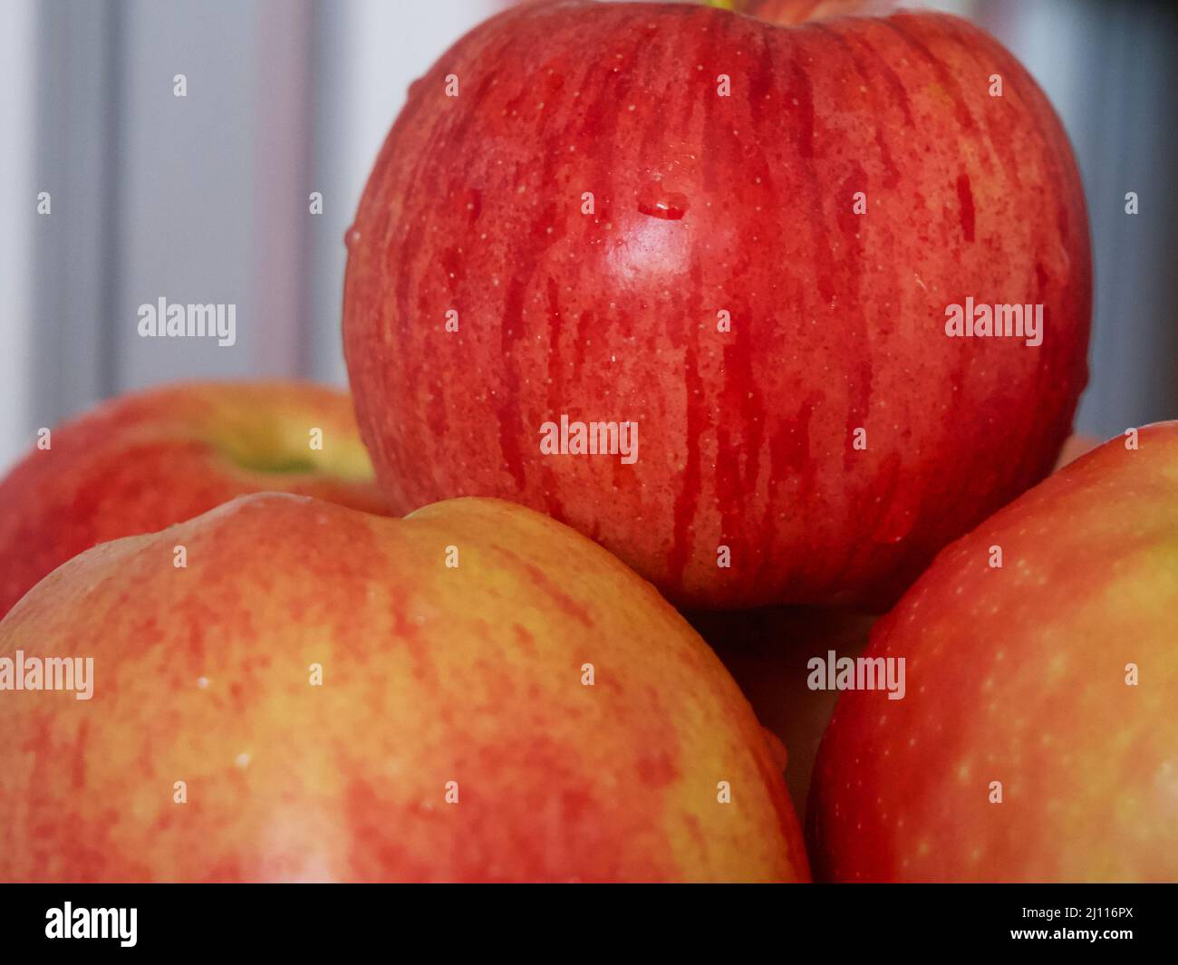A few ripe striped apples, a close-up shot. Apples of the gala and ...