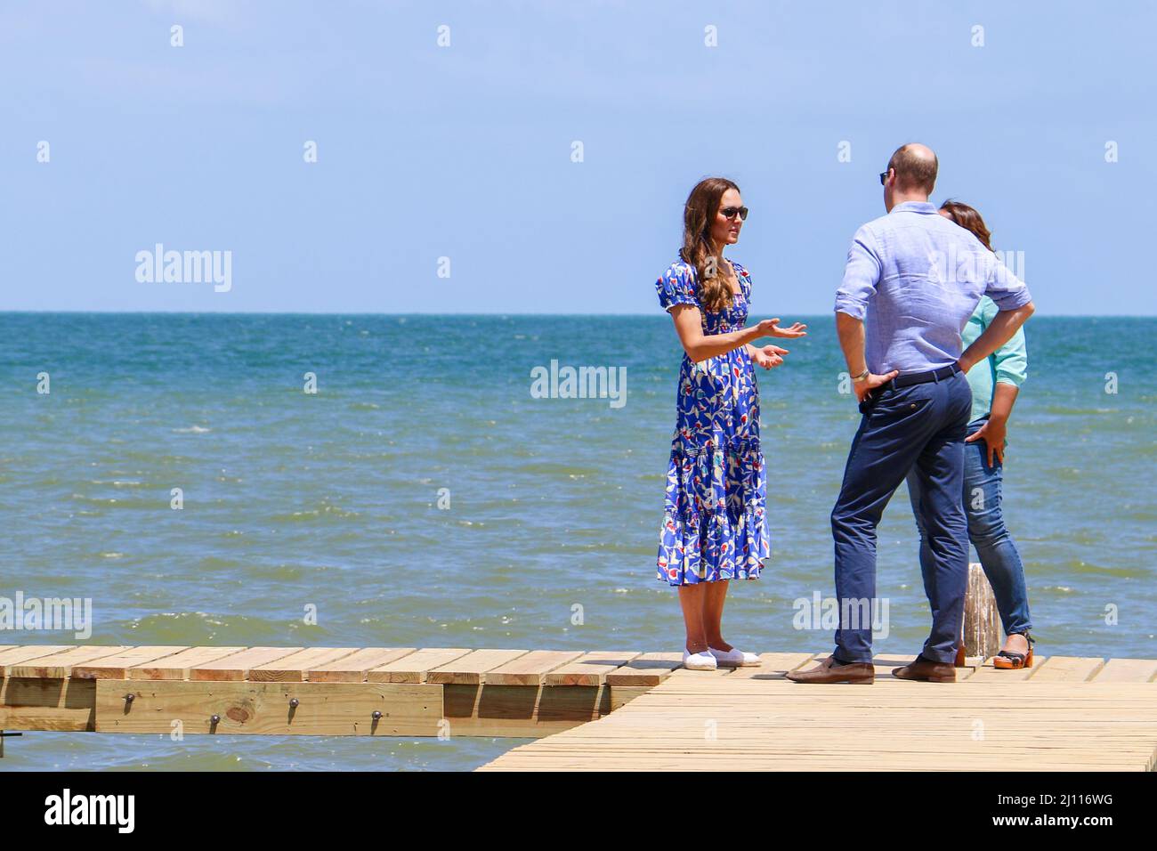 Prince William, Duke of Cambridge and Catherine (Kate Middleton ...