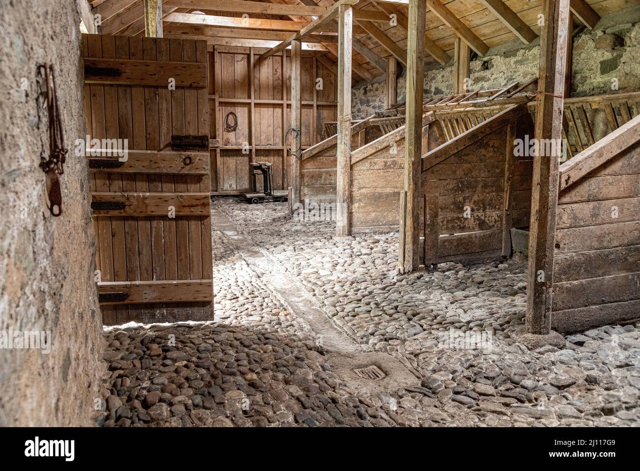 Cow byre hi-res stock photography and images - Alamy