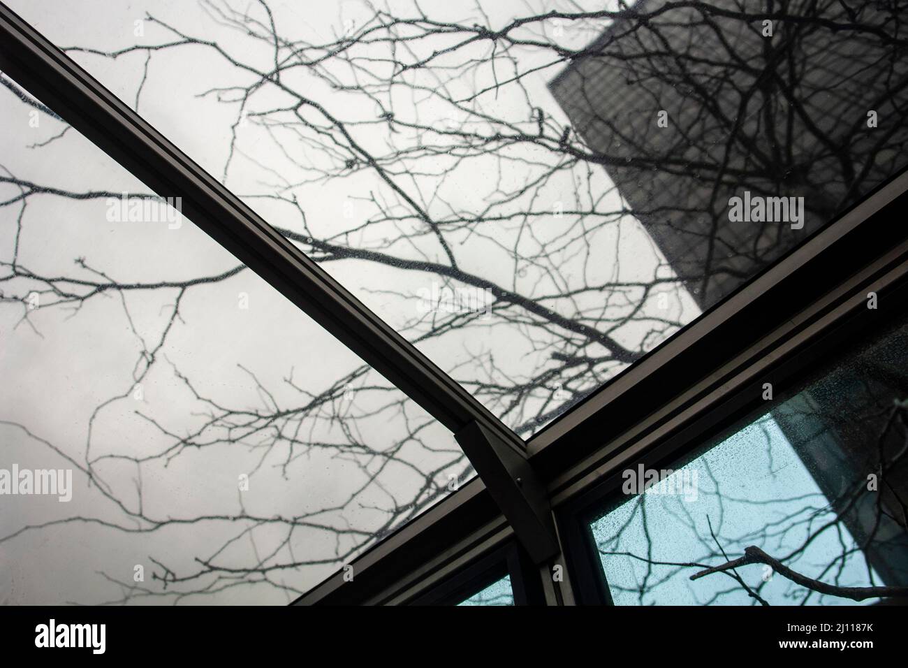 Brussels through the glass roof of a tourist bus Stock Photo - Alamy