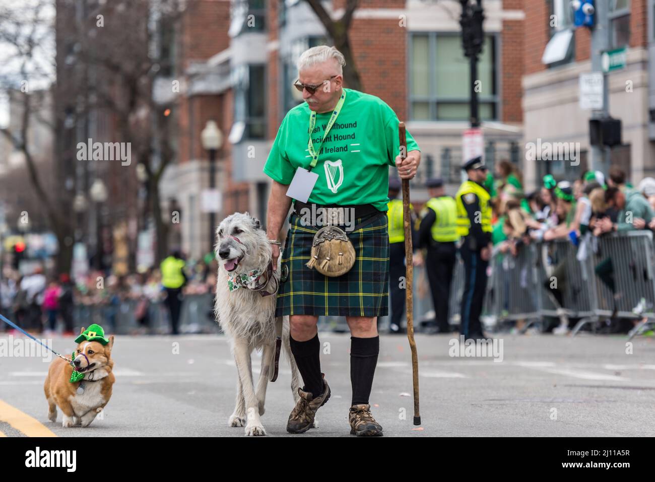 Borderline wolfhounds hi-res stock photography and images - Alamy