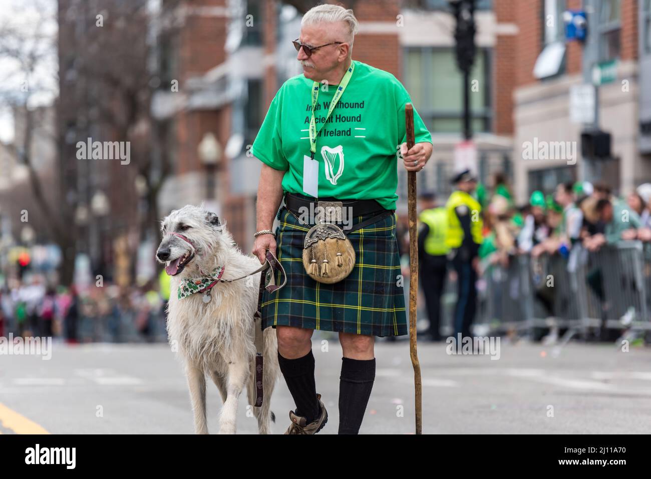 Borderline wolfhounds hi-res stock photography and images - Alamy