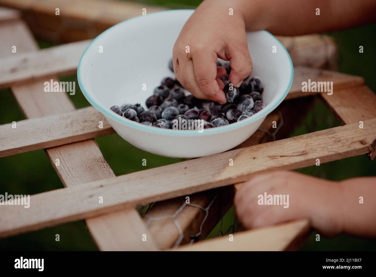Child eating from fruit bowl hi-res stock photography and images - Alamy