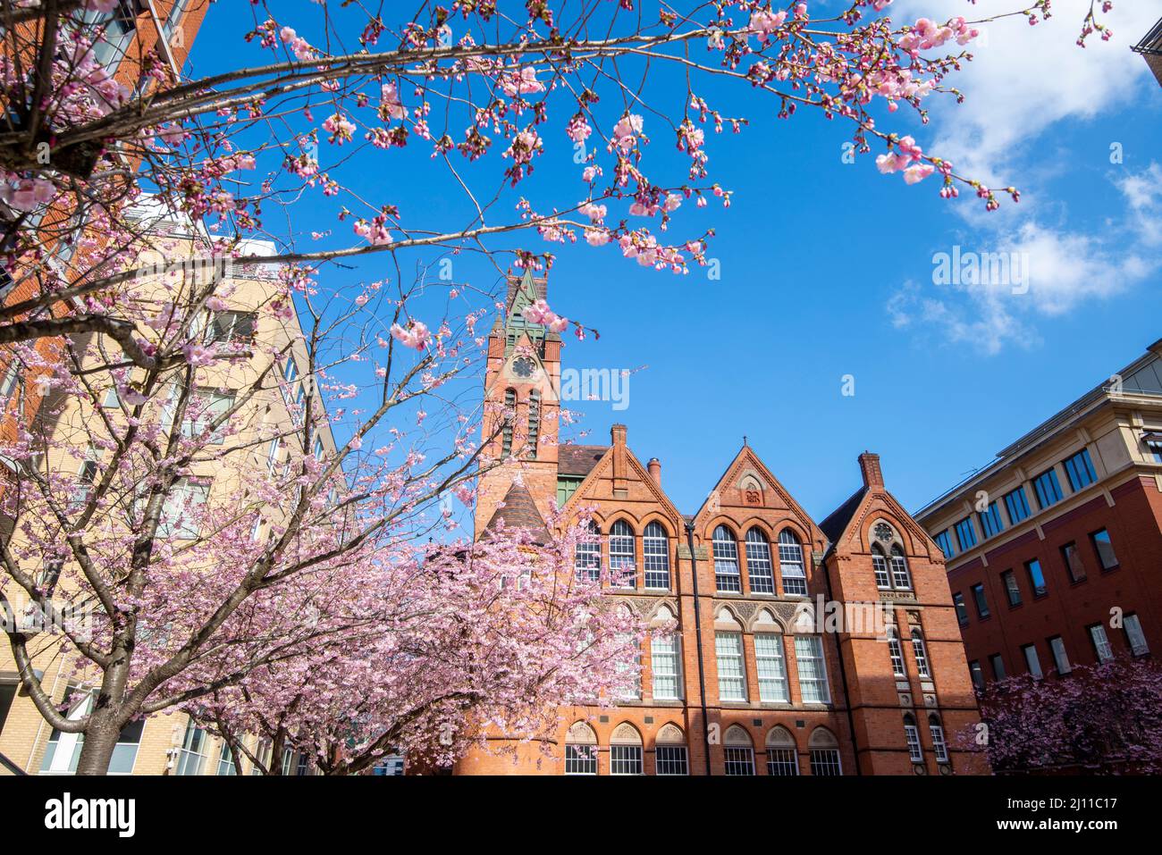 Spring in Oozells Square, Birmingham England UK Stock Photo - Alamy