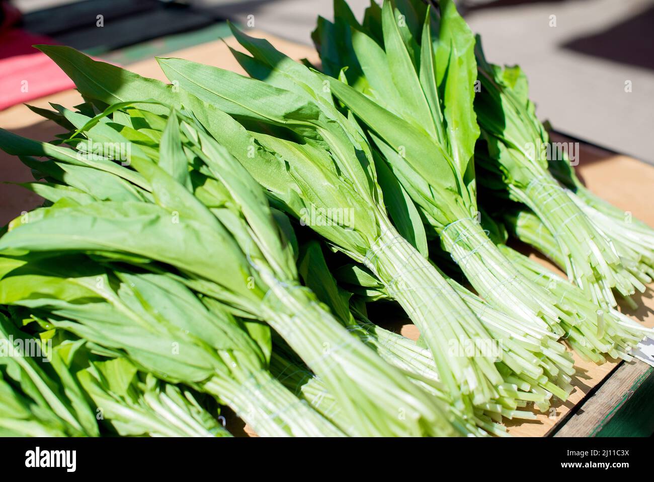 Photo of bundles of ipomoea aquatica leaves in an outdoor market Stock ...