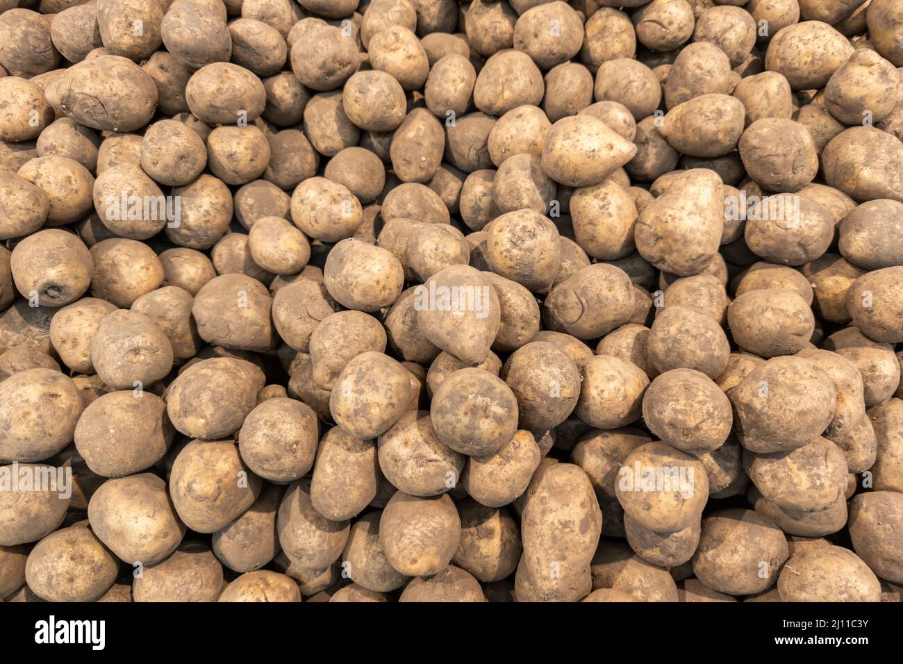 pile of dirty raw unpeeled potatoes - full frame background Stock Photo ...