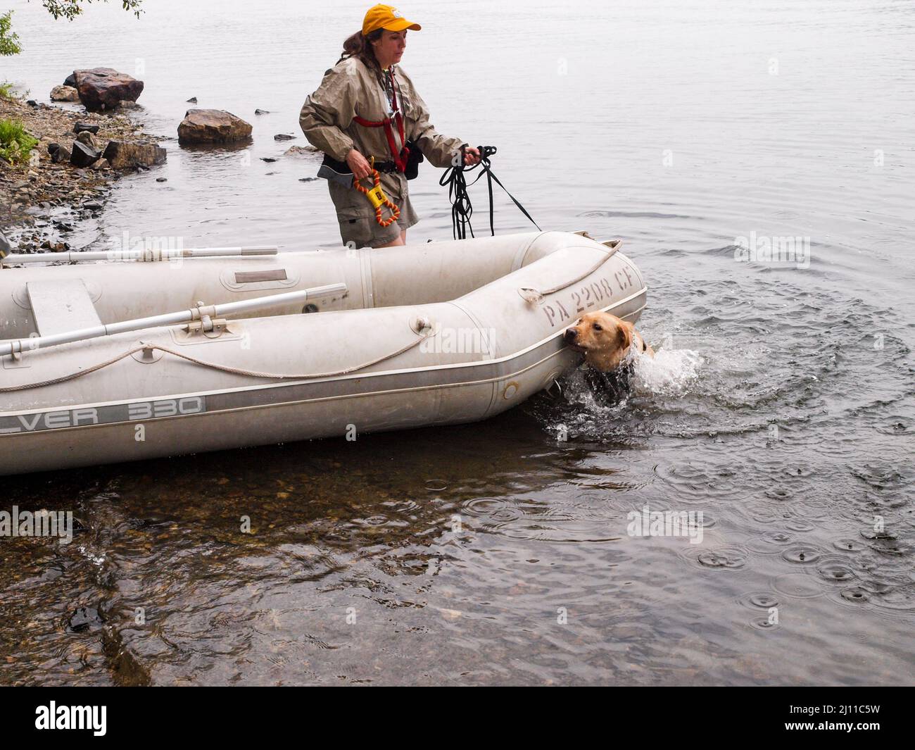 Search and Rescue Dog. Water Rescue Drill Stock Photo - Alamy