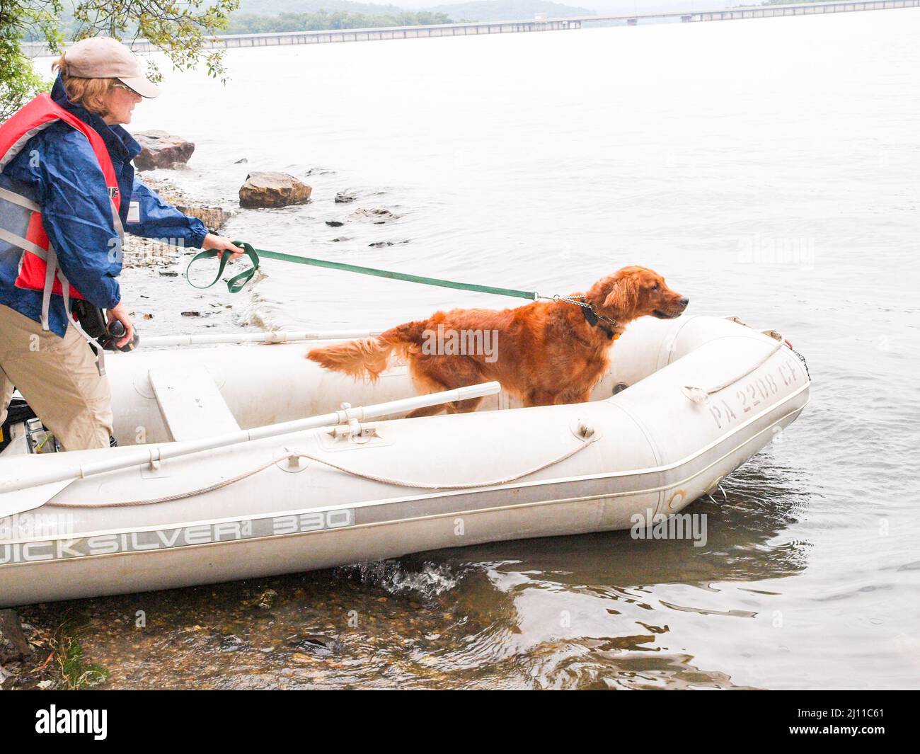 Search and Rescue Dog. Water Rescue Drill Stock Photo - Alamy