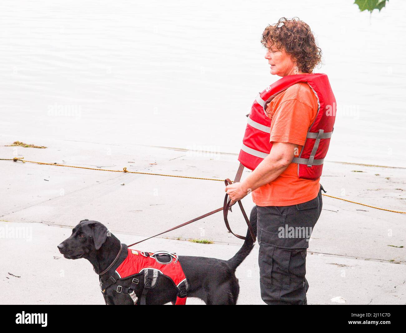 Search and Rescue Dog. Water Rescue Drill Stock Photo - Alamy