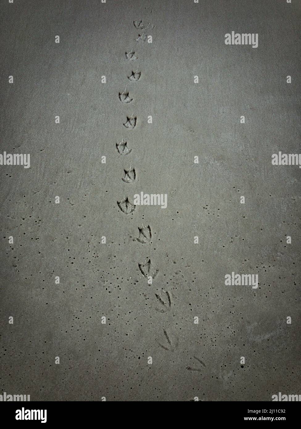 Printed ground hi-res stock photography and images - Alamy