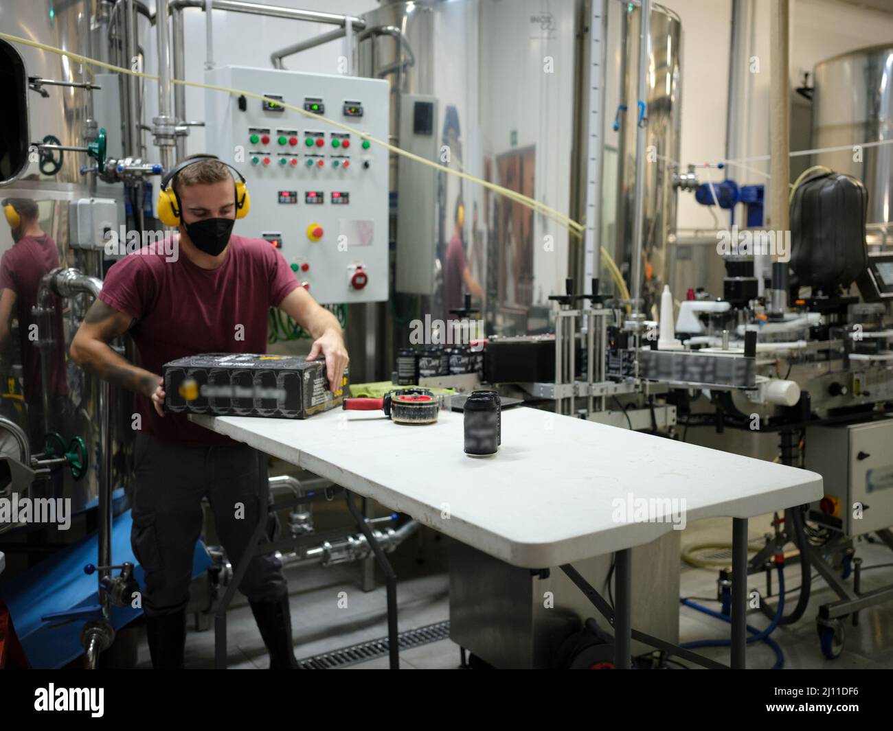 Worker packing beer cans on a cardboard rack in a packaging factory ...
