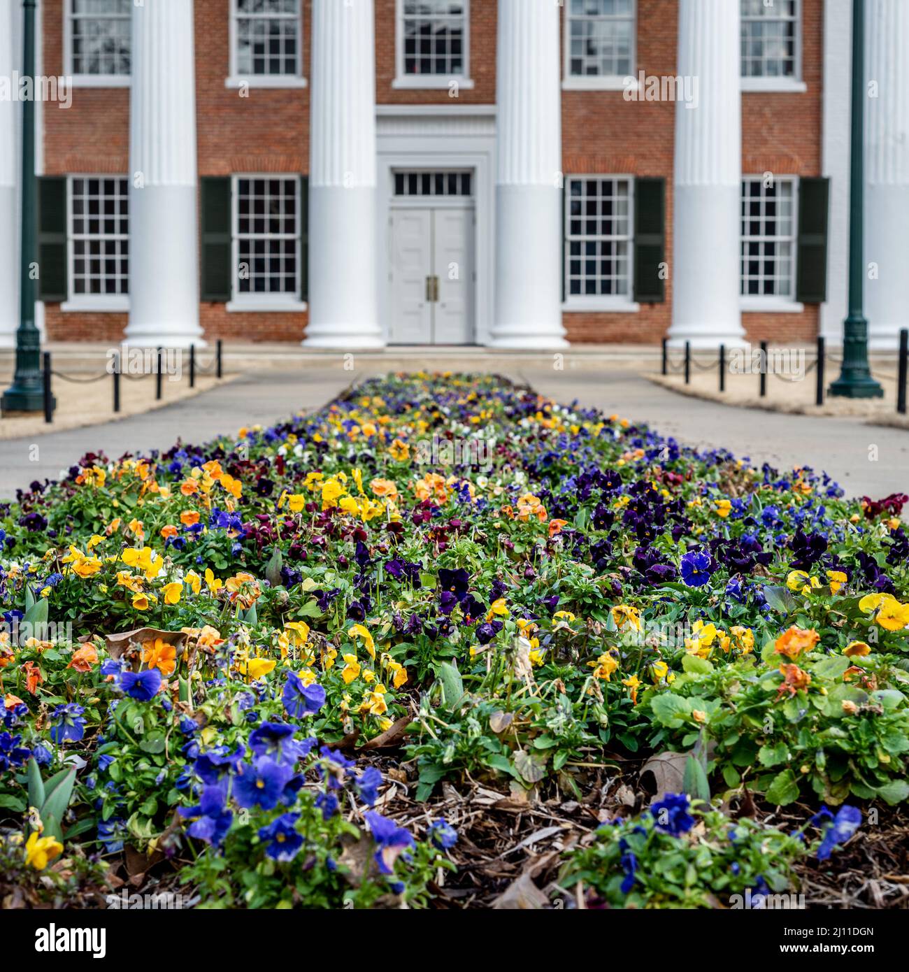 Vertical shot white facade hi-res stock photography and images - Alamy