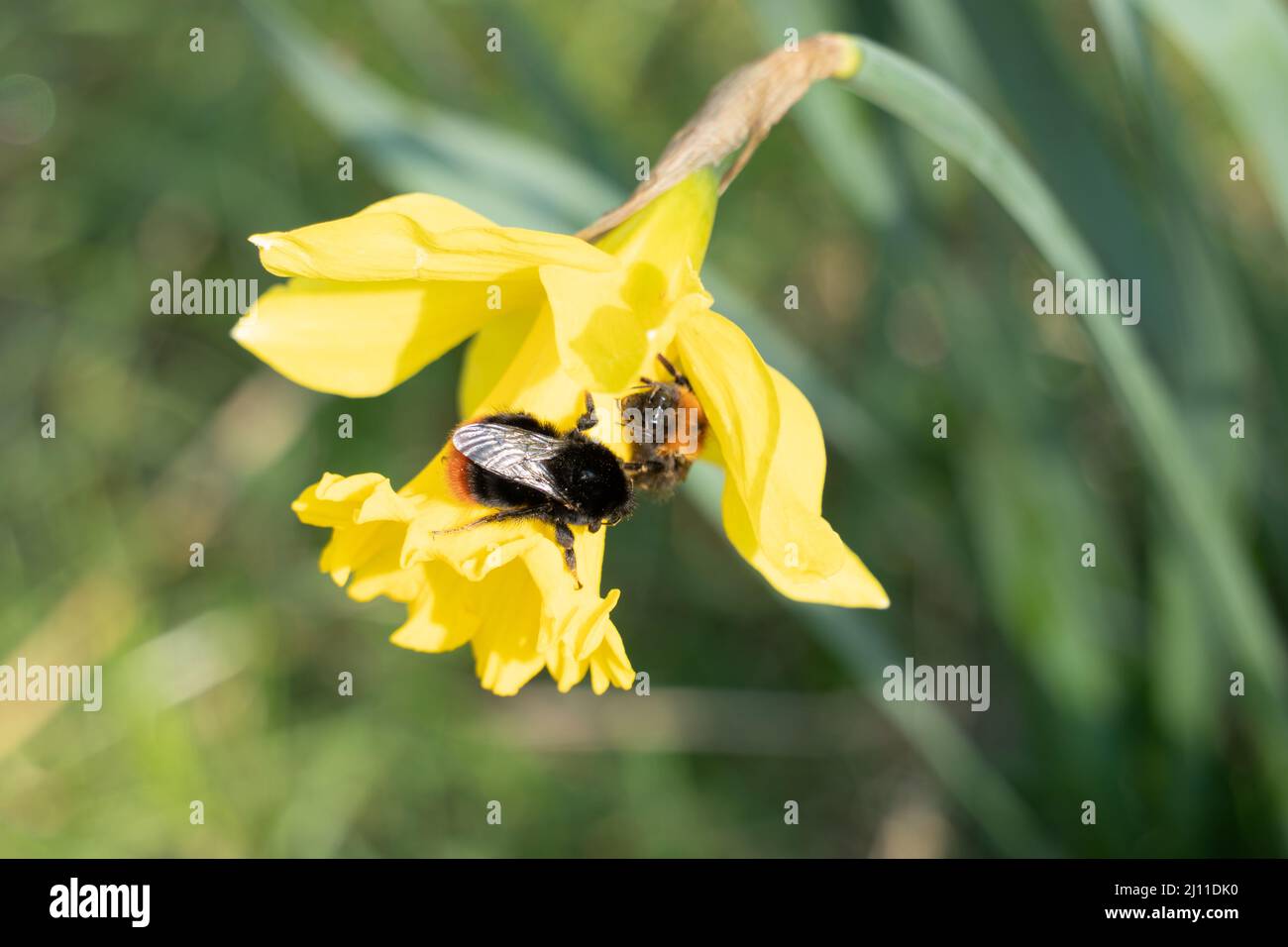 Rest together hi-res stock photography and images - Alamy