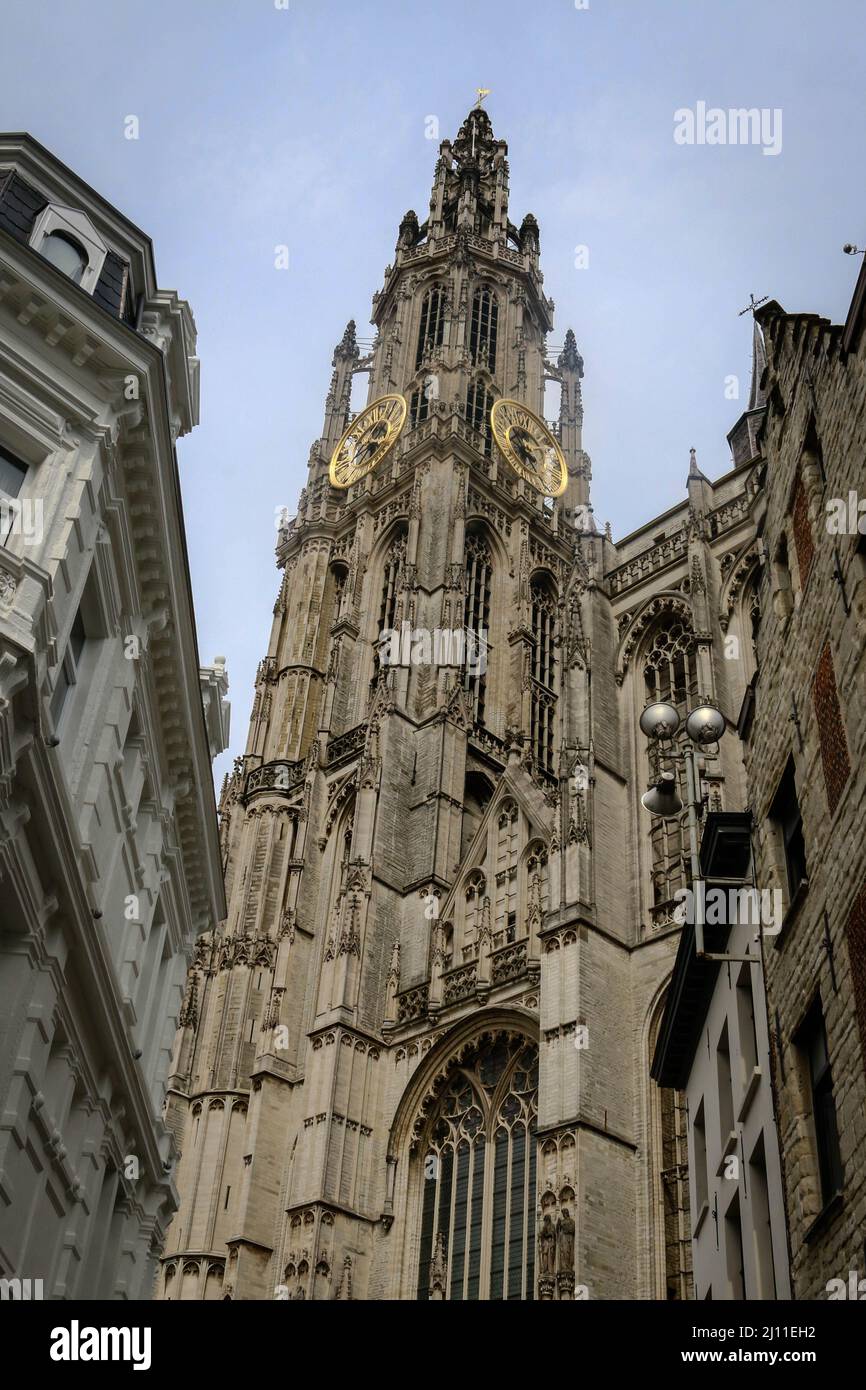 The Cathedral of Our Lady in the city of Antwerp, Belgium Stock Photo - Alamy