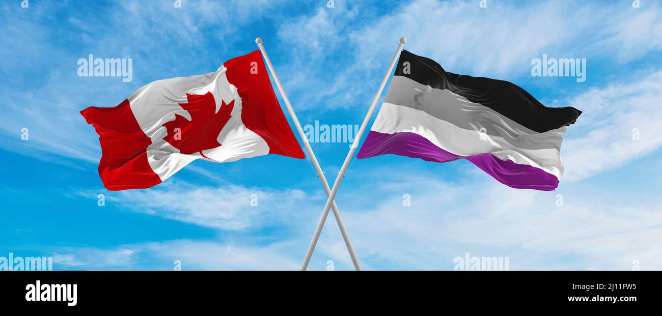 crossed national flags of Canada and asexuality Pride flag waving in ...