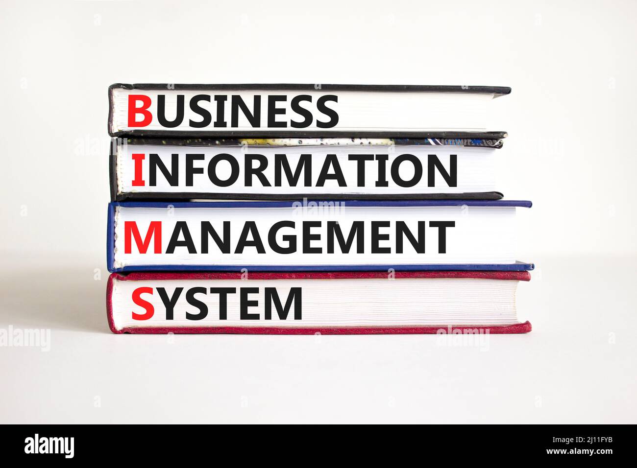 BIMS, Business information management system symbol. Concept words BIMS ...