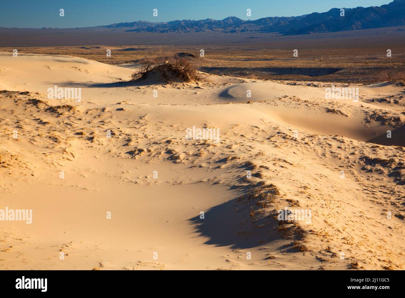 Kelso Sand Dunes, Mojave Wilderness, Mojave National Preserve ...