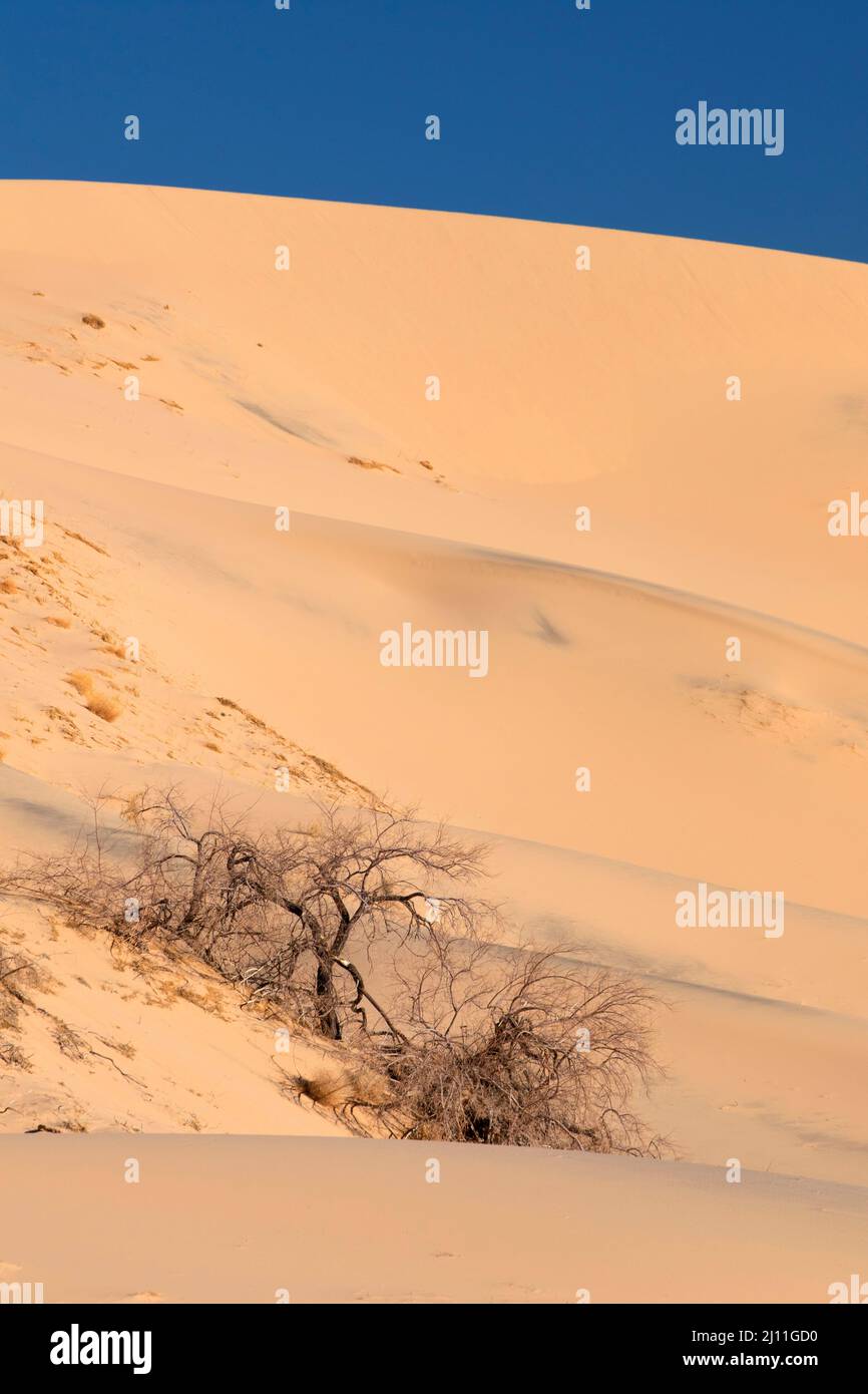 Mojave desert california sand dunes hi-res stock photography and images ...