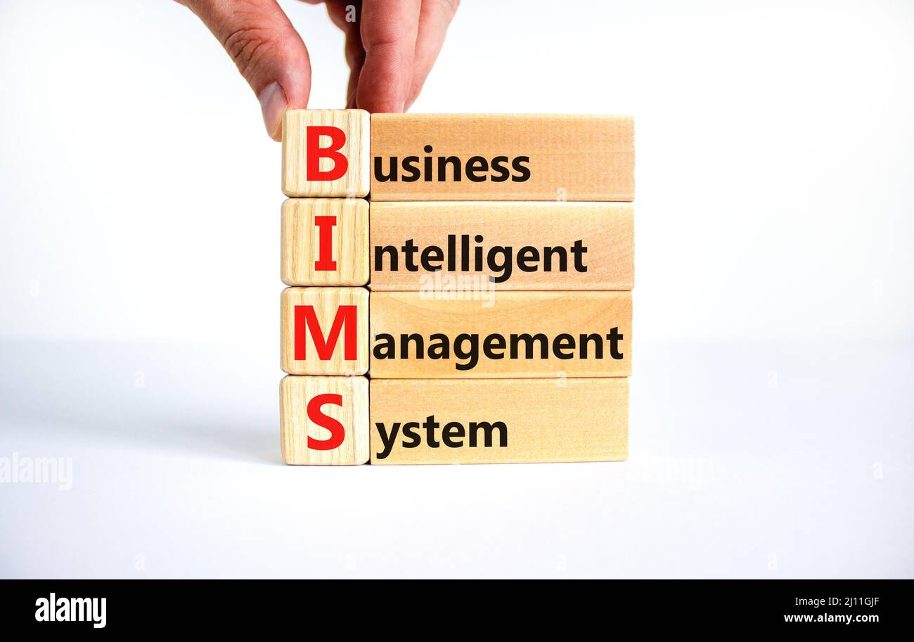 BIMS, Business intelligent management system symbol. Concept words BIMS ...