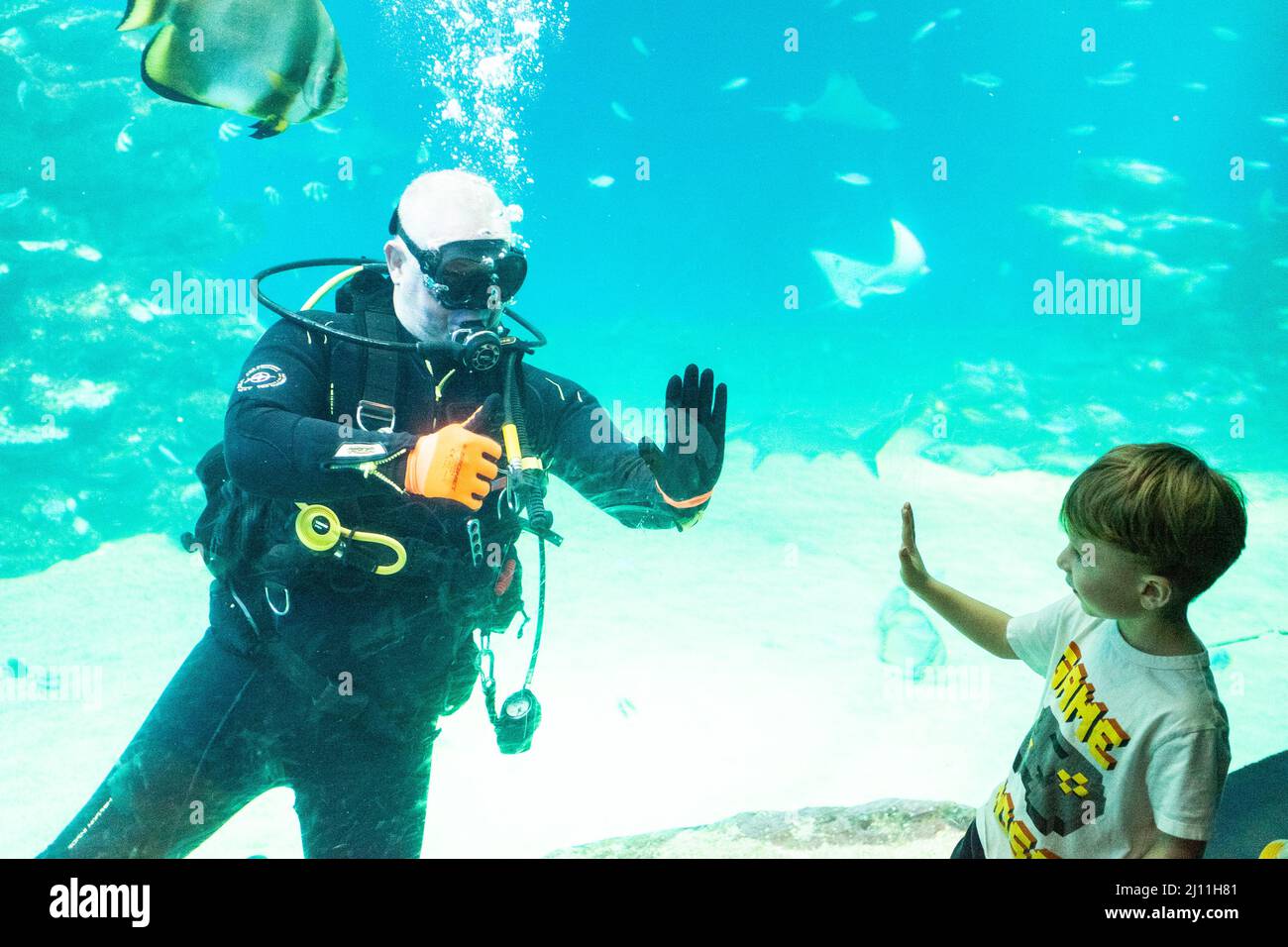 Diver waving hi-res stock photography and images - Alamy