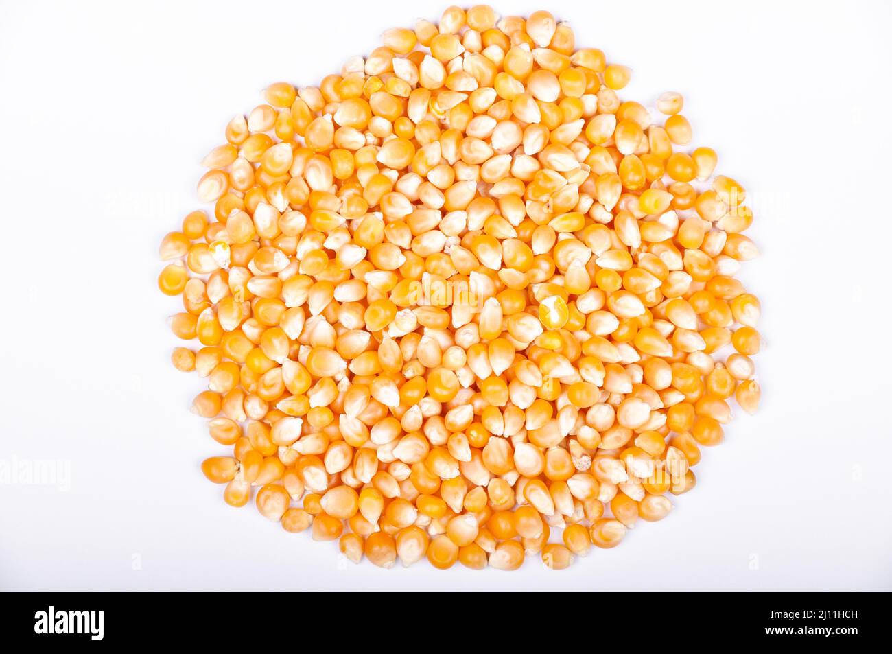 Background of yellow maize corn kernels ready for making pop corn Stock ...