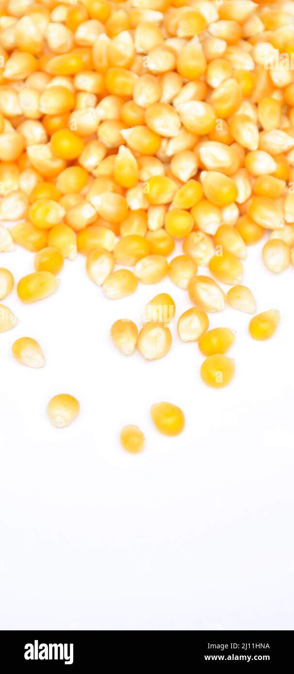 Background of yellow maize corn kernels ready for making pop corn Stock ...