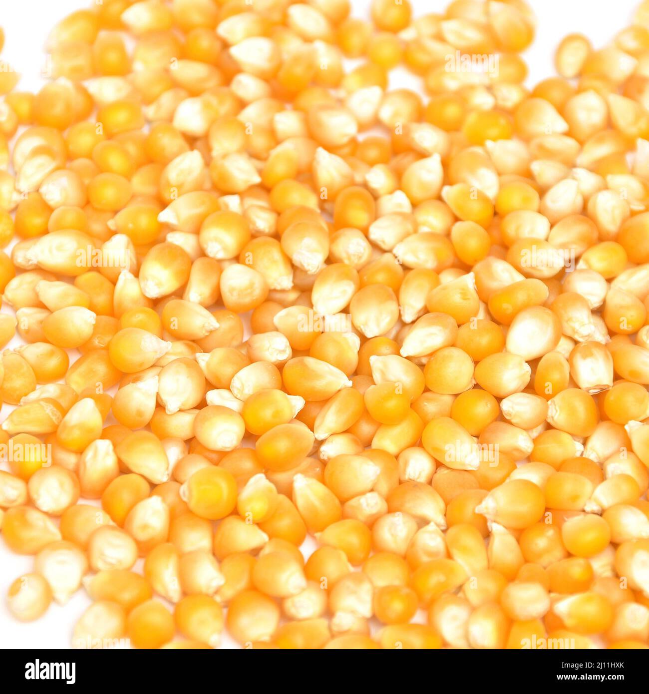 Background of yellow maize corn kernels ready for making pop corn Stock ...