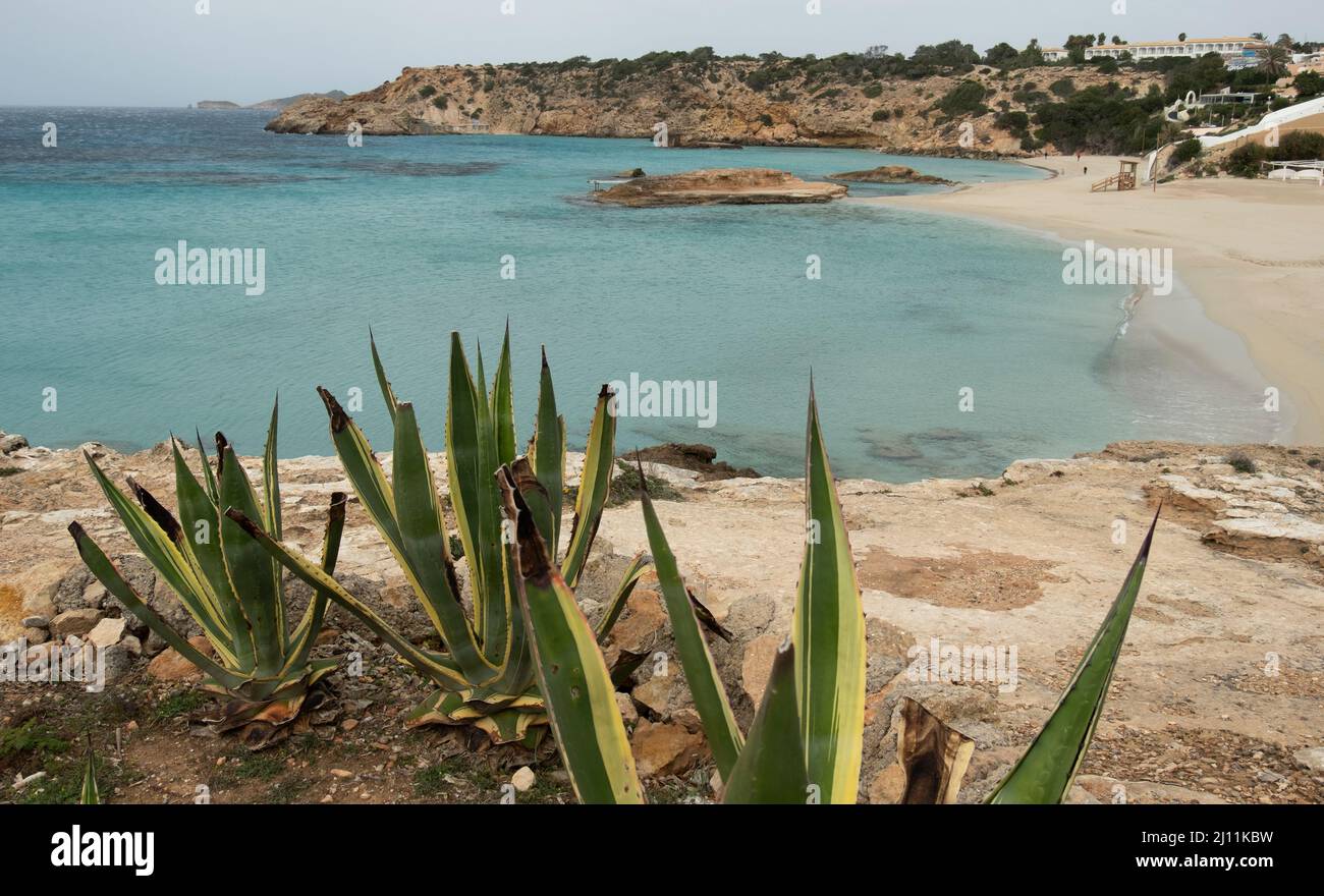 Cala Comte,Platges de Comte,Ibiza,Spain Stock Photo - Alamy