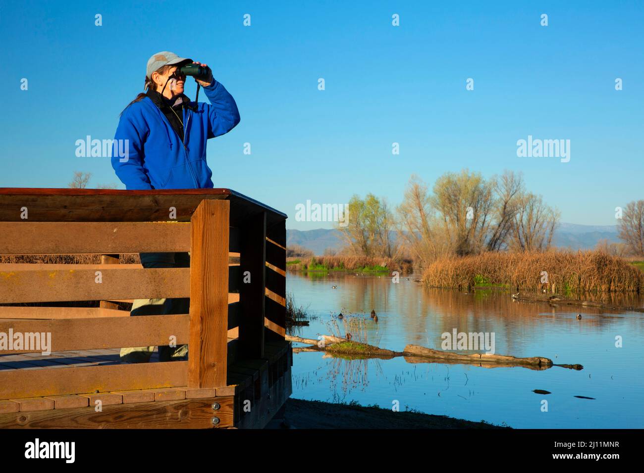 Birding on viewing deck, Colusa National Wildlife Refuge, California ...